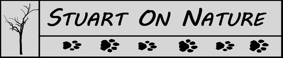 StuartOnNature